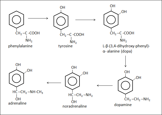 ADRENALINE [EPINEPHRINE] - medicinal drug -hormone - study everything.