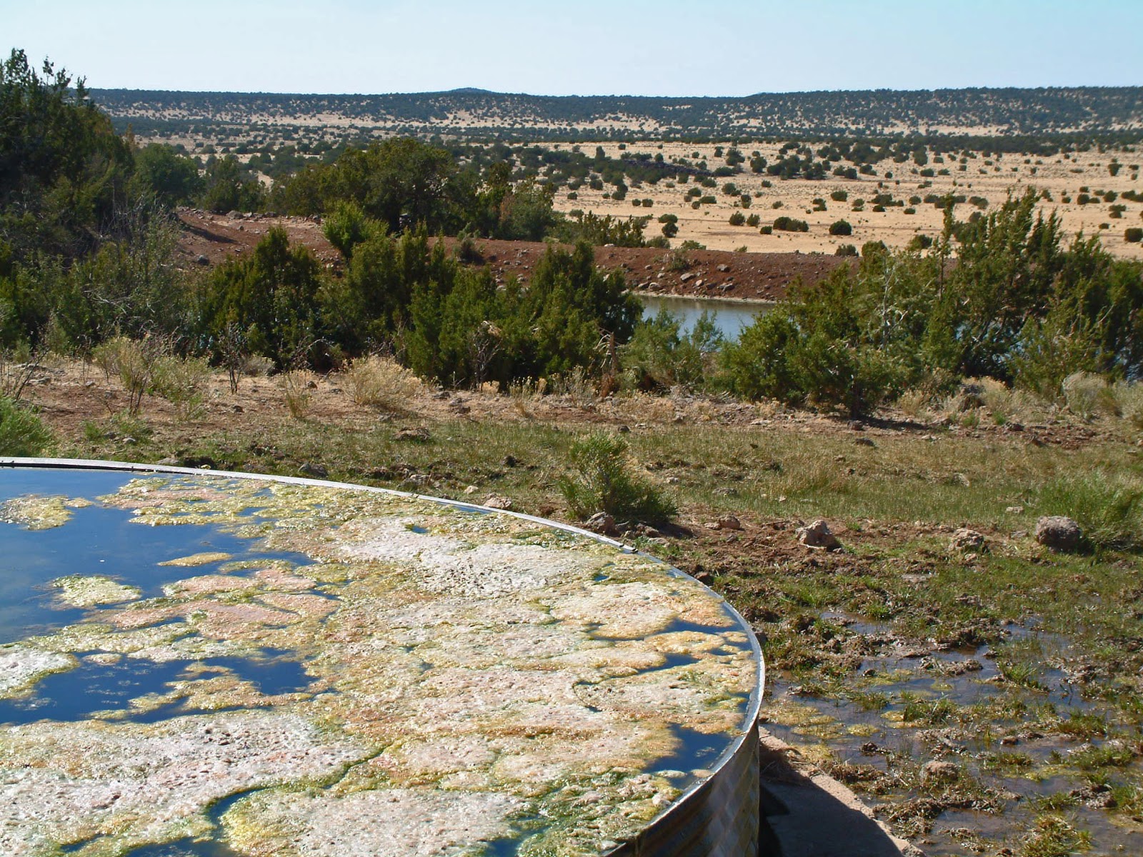 Flagstaff to Grand Canyon Stagecoach Line 100 Mile Ultra and Relay ...