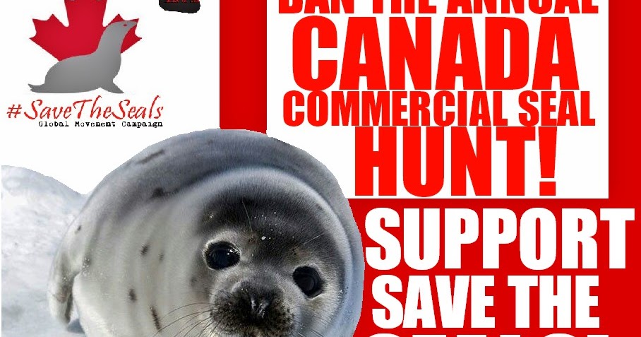 RAISE UR PAW NEWS: SAVE THE SEALS: The Global Movement to Combat Canada ...