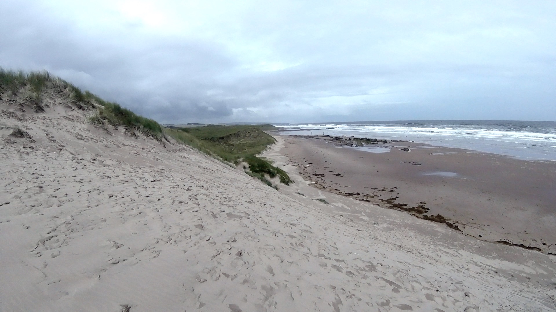 coastrider: Northumberland beach riding; 1/8...