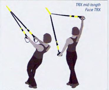 TRX EXERCISES: Upper Body Options