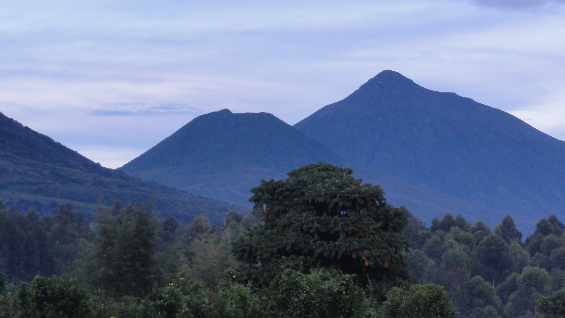RWANDA - VOLCANO NATIONAL PARK