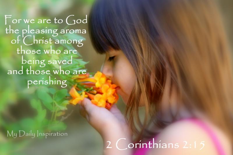 For we are to God the pleasing aroma of Christ