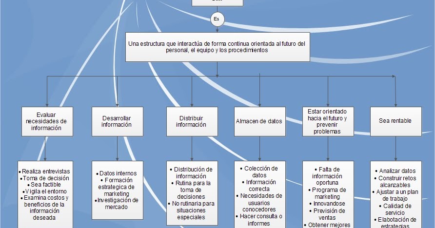 Fundamentos del SIM : Concepto y funciones del SIM