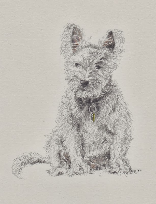 Dartmoor Ramblings: October 2013