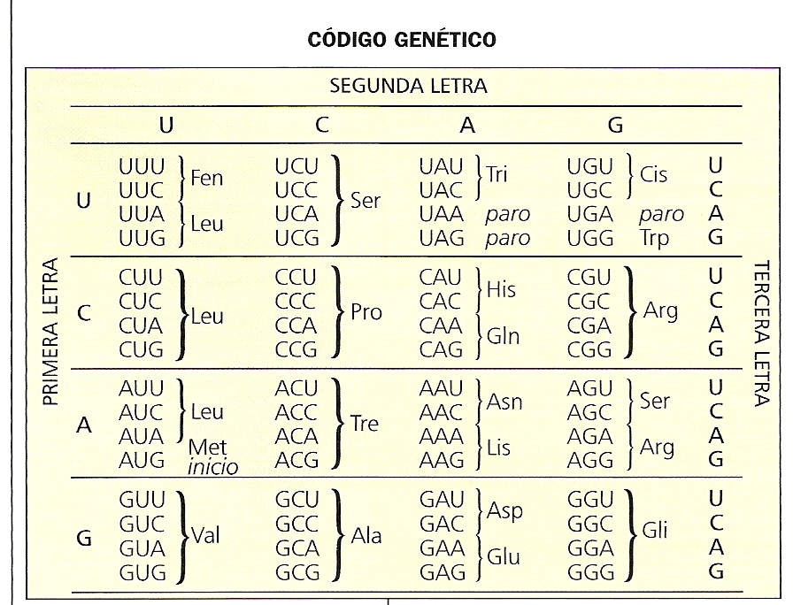 Trabalhando Biologia: Junho 2015