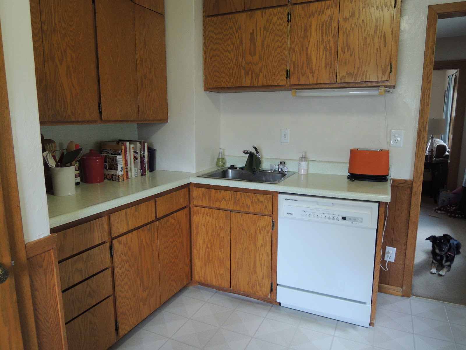 Holly Goes Lightly: Kitchen Renovation