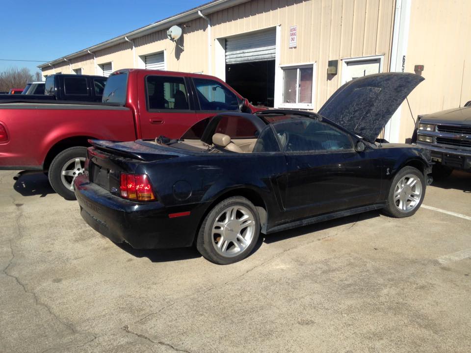 Whiteboy's Mustangs: 1999 mustang cobra 60k miles wrecked SVT#1754