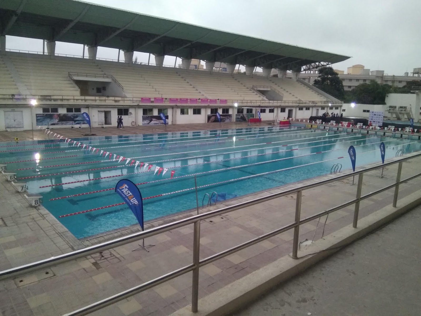 Stadium Swimming Pool Timetable at Andrew Leichhardt blog
