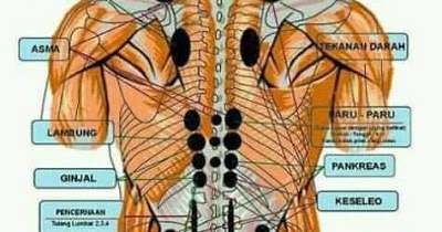 Terapi Totok Punggung Apa Manfaat Untuk Kesehatan ..? - Java Therapy