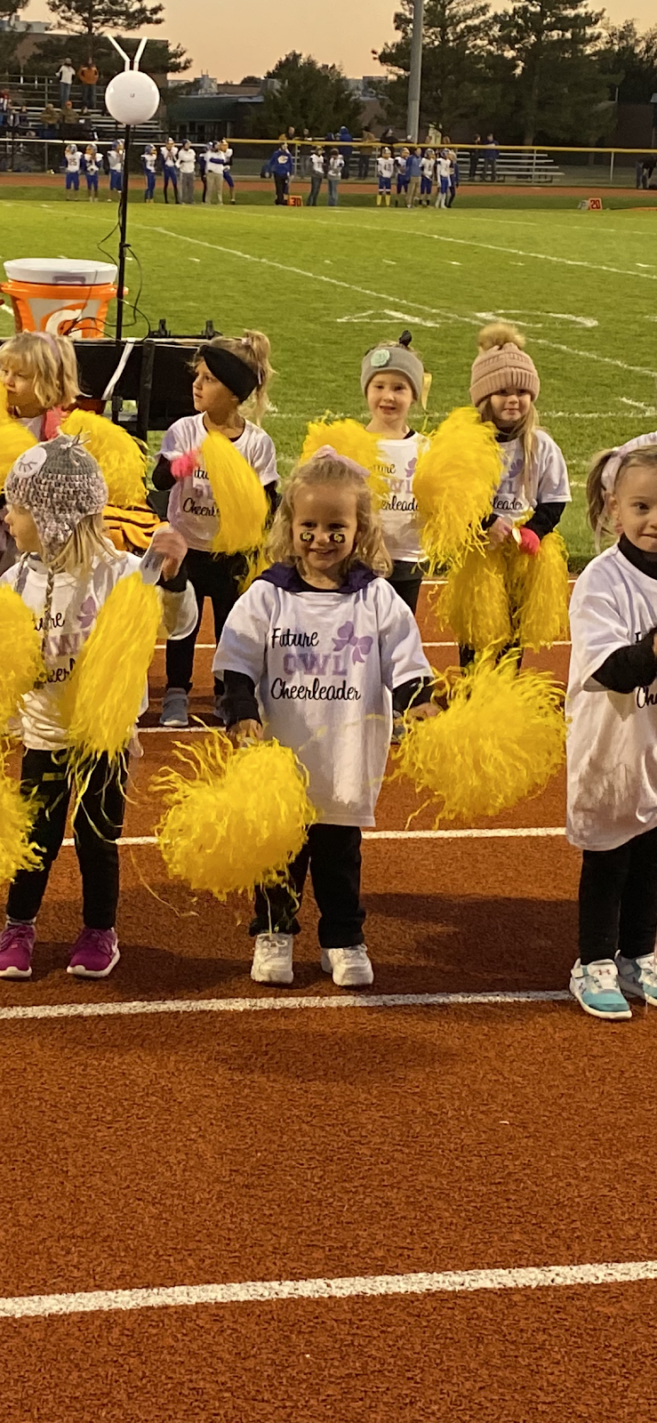 Our Family: Mini Cheer 2019