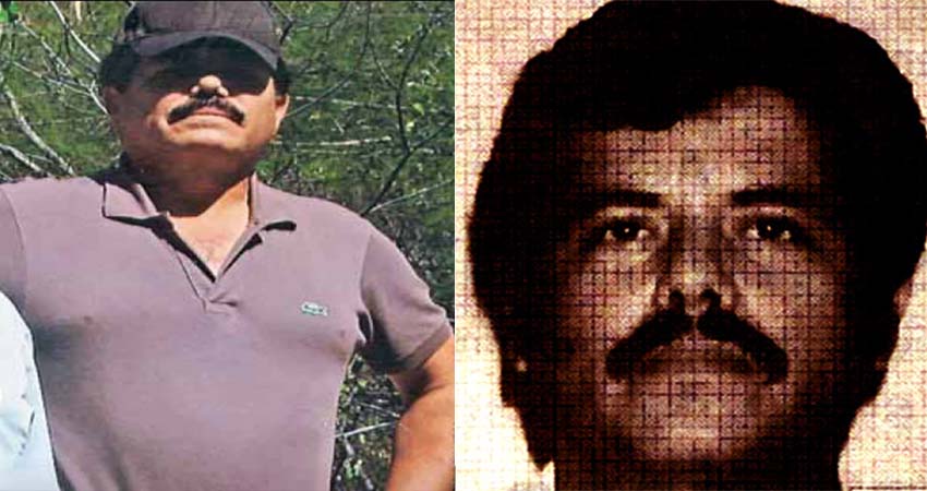 El Mayo Zambada Estuvo A Punto De Ser Ejecutado El Diario Del