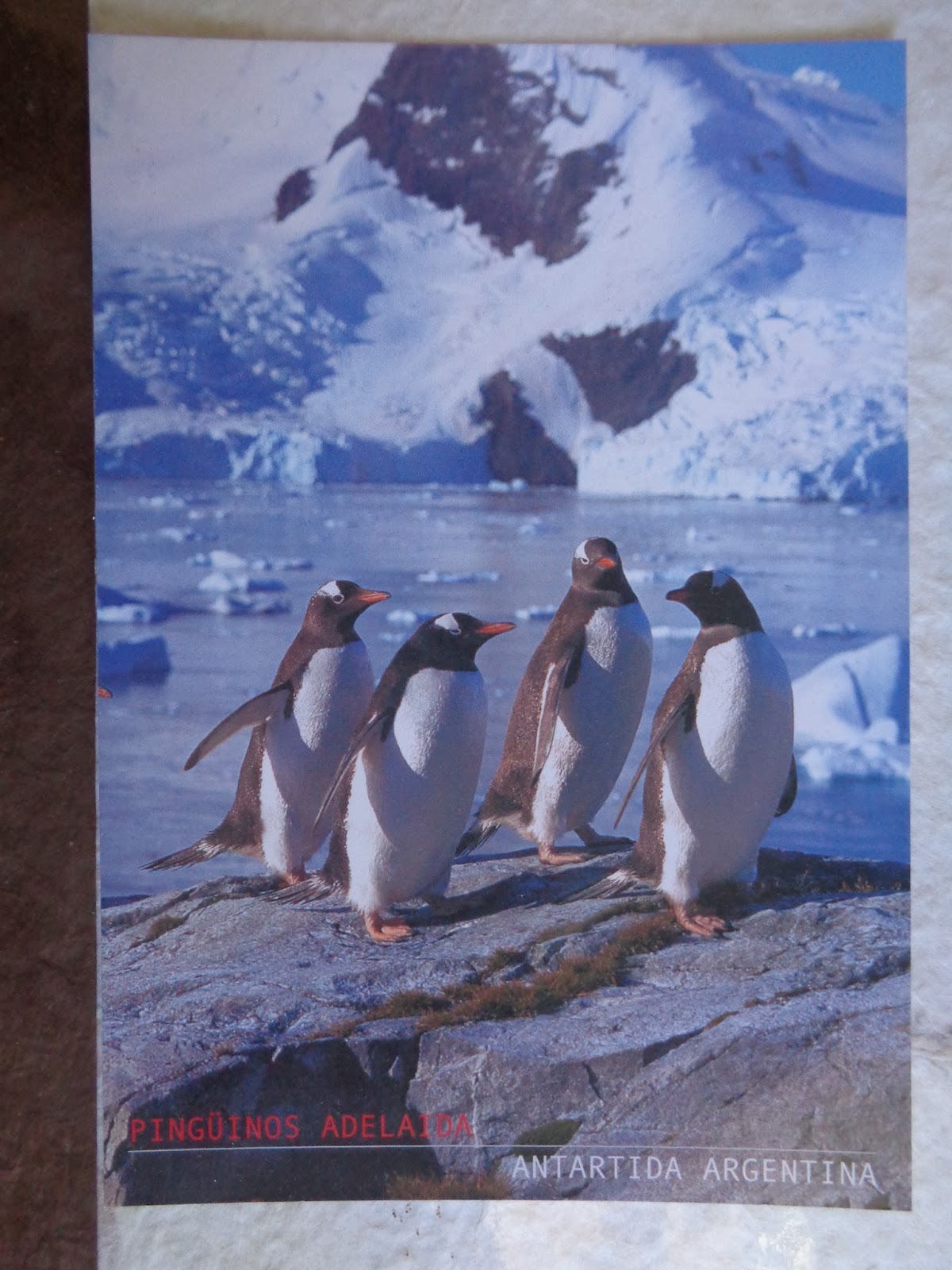 Collecting Postcards: Antarctica