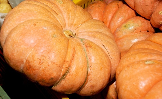 CHARANGA SOBRALENSE: DICAS DE SAÚDE| O TAMBÉM CONHECIDO JERIMUM COMBATE ...