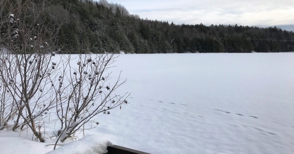 The Switchel Traveler: Milton Pond