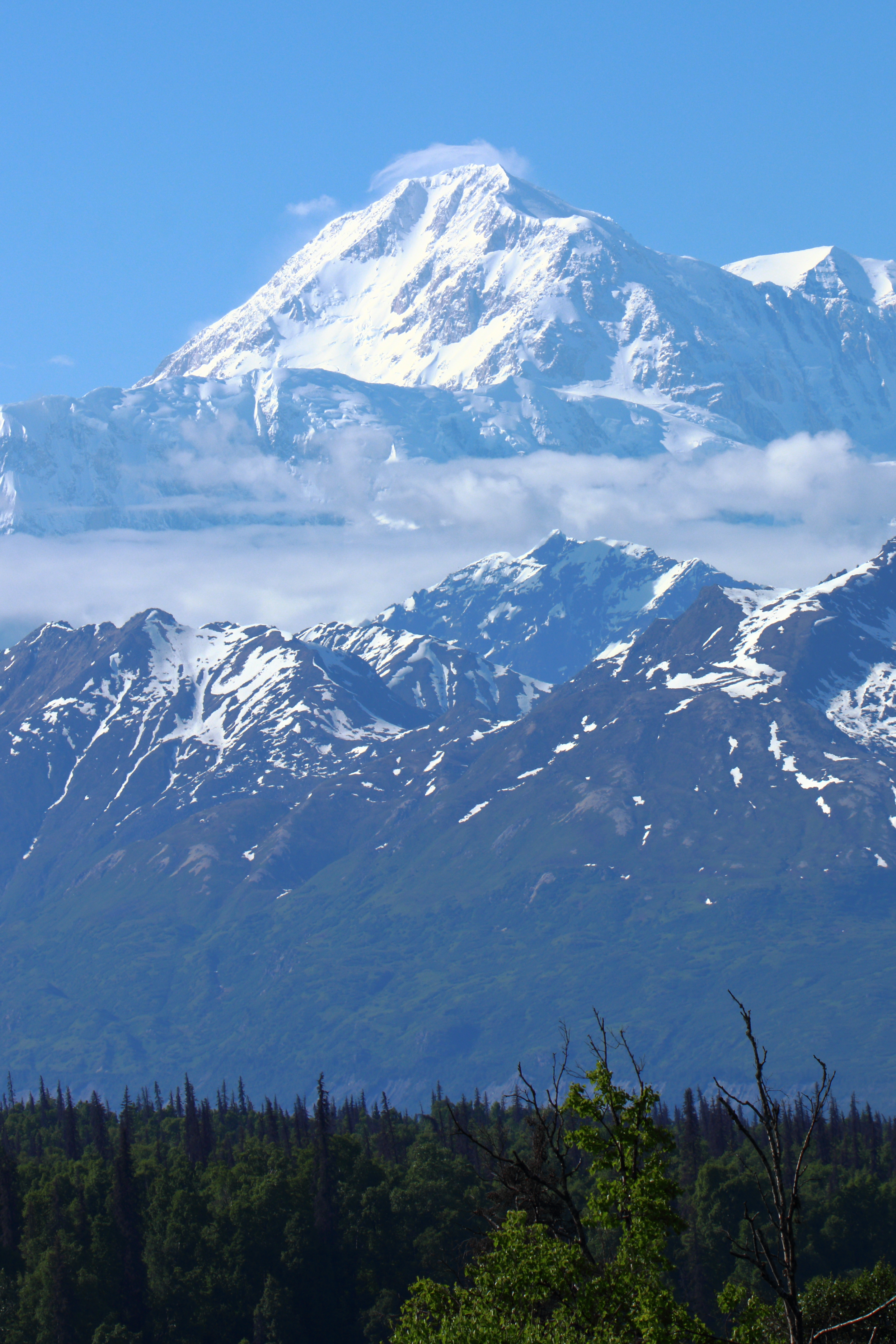 Highway 3 - Anchorage to Denali