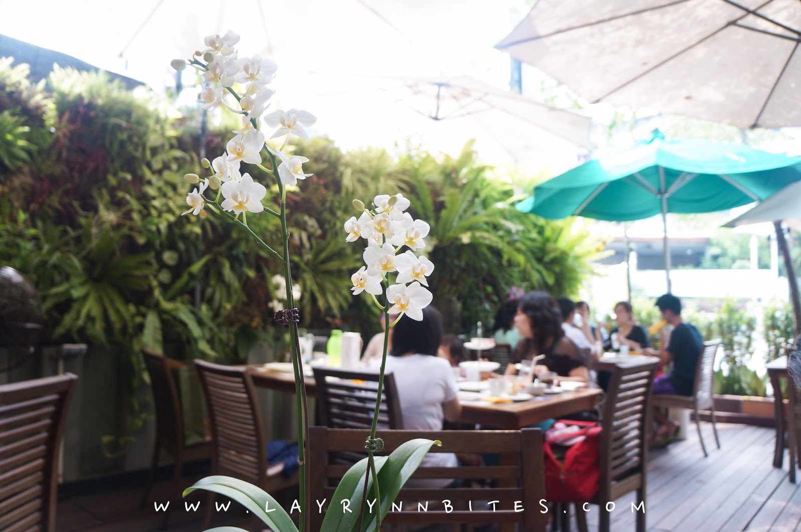 FERRINGHI COFFEE GARDEN | BRUNCH DATE - CARMEN LAYRYNN | MALAYSIA ...