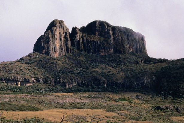 Patrimonio Salinero Andaluz: Sal para todos. Los elefantes y el Monte ...