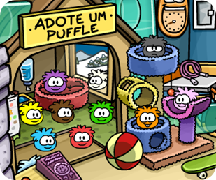 Tudo Club Penguin Oficial: Como adotar um puffle