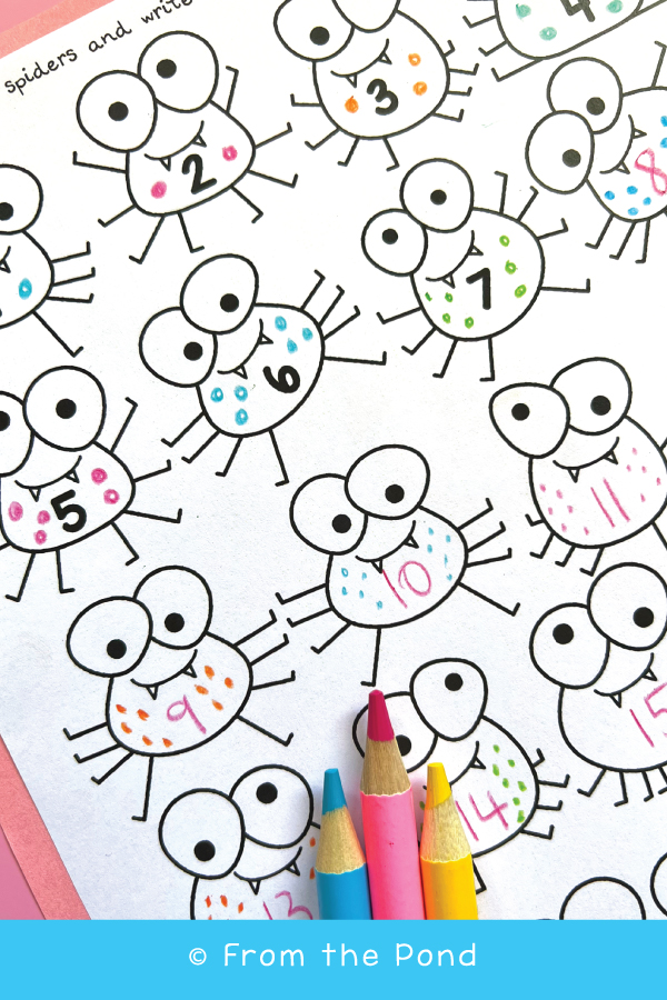 Spider Counting and Numbers Activity Page | From the Pond