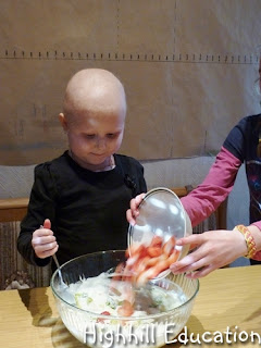 Highhill Homeschool: Human Body - Week 3 - Blood Activity