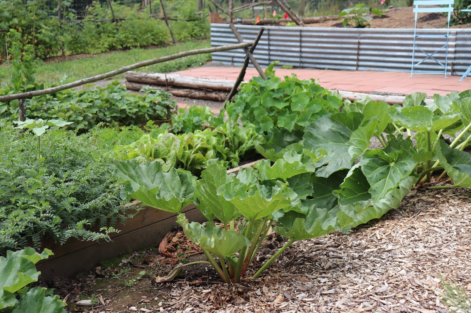 The Farm, Flowers and Friends