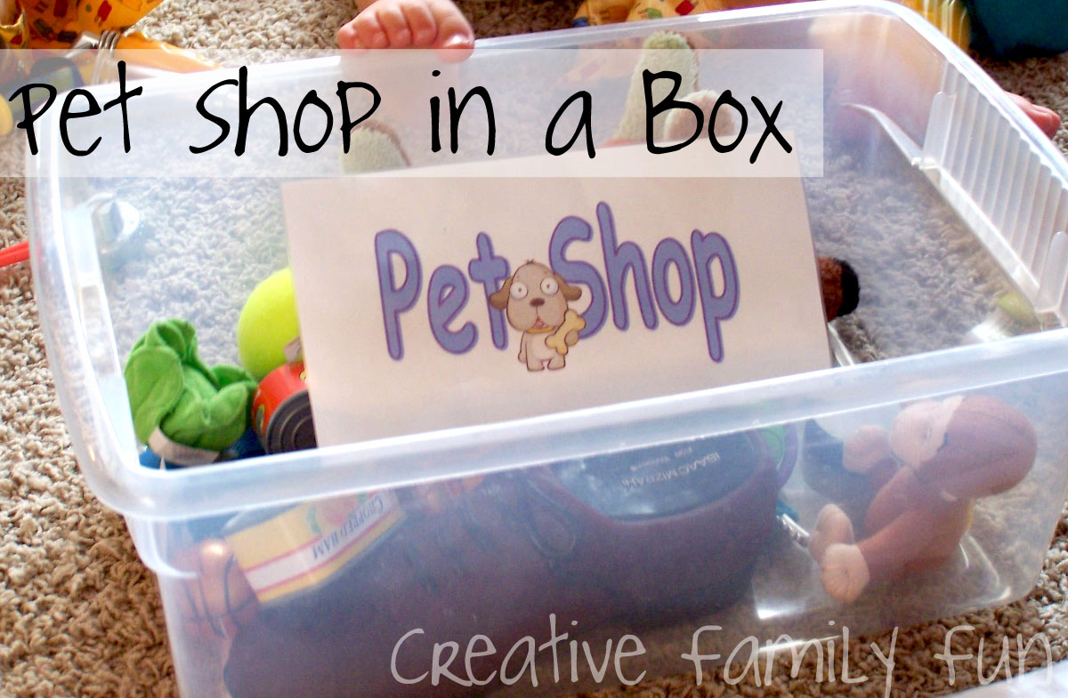 Pet Shop in a Box - Creative Family Fun
