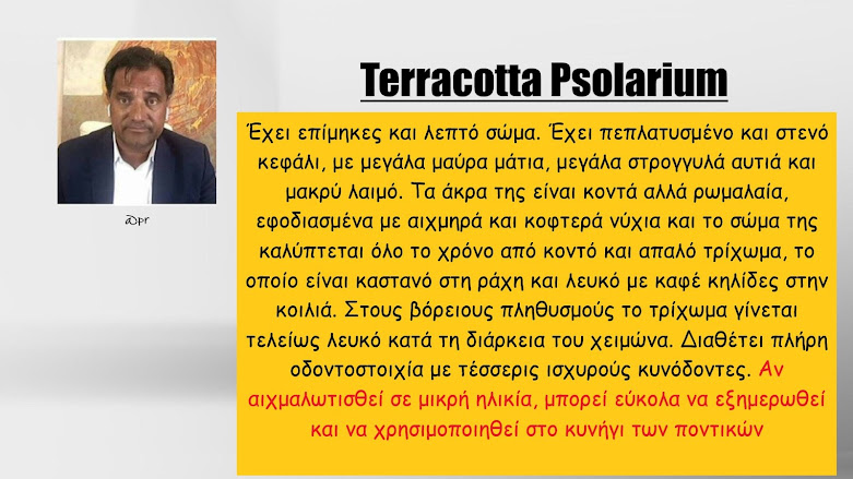 Ο ΠΡΟΧΕΙΡΟΓΡΑΦΟΣ