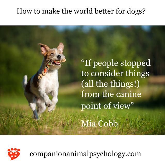 Companion Animal Psychology News October 2018