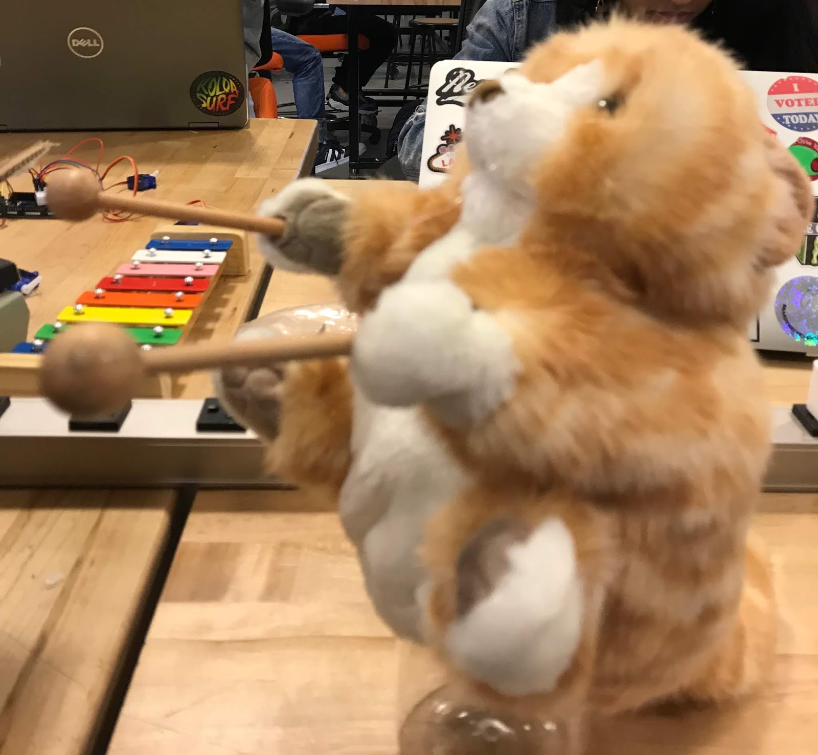 Gloria The Xylophone Cat