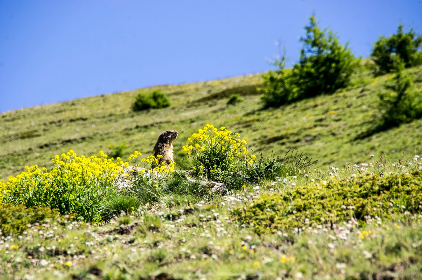 Verticale ma non troppo: Col Basset 2424 m.