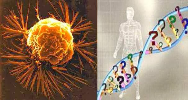 Artículo Aprende Biokinesis