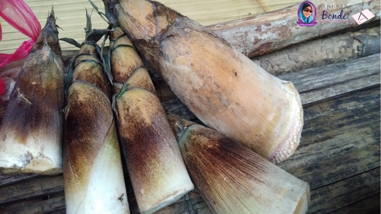 Cara Nak Proses Jeruk Rebung