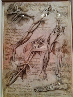 Samantha Saw....: Leonardo Da Vinci - Anatomist