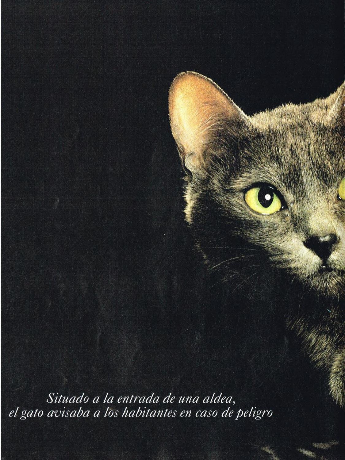 PERROS Y GATOS FAMOSOS: ENCICLOPEDIA EL GATO II SEGUNDA PARTE