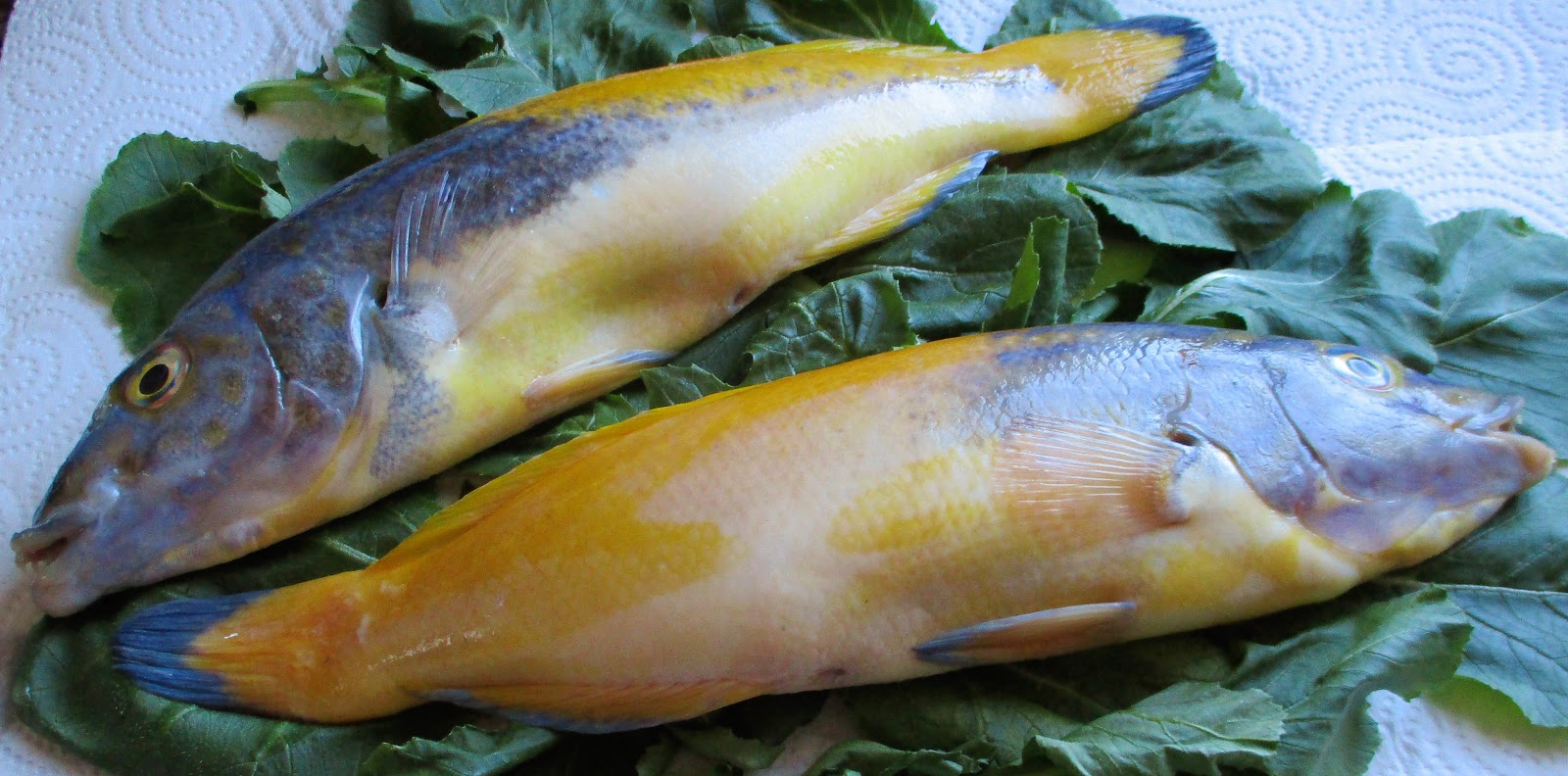 Aquí se cocina: Maragota al horno con verduras