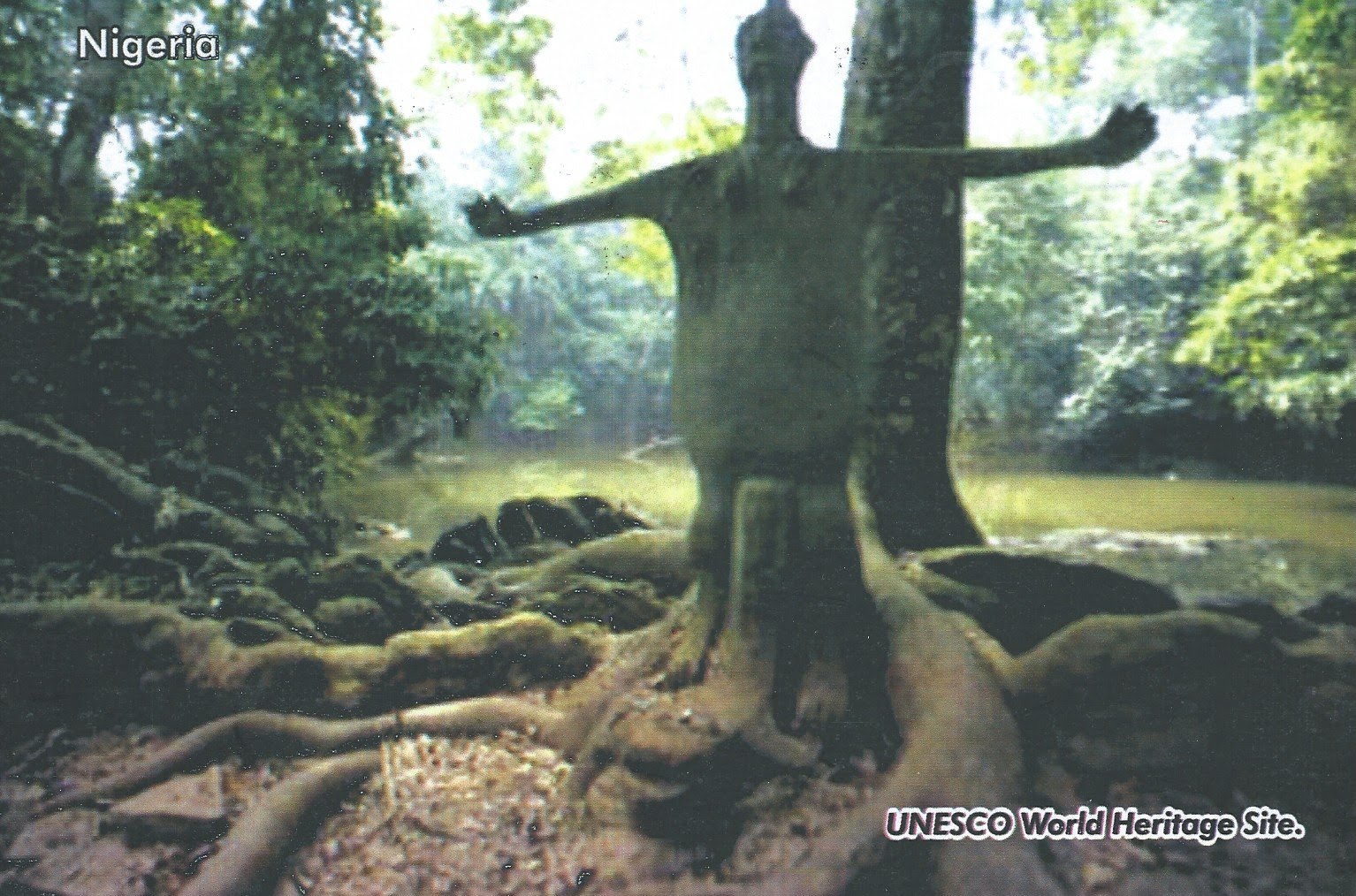 MY POSTCARD-PAGE: NIGERIA ~ Osun Osogbo Grove - UNESCO