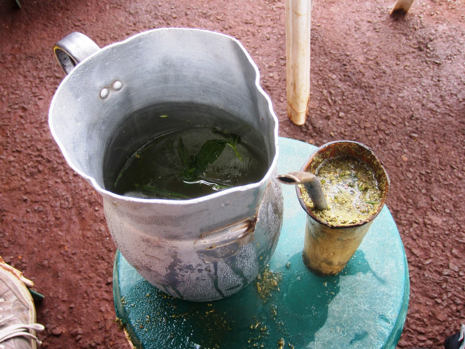 Revista La Quincena: EL TERERÉ