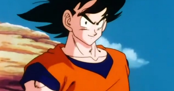 The Goku Training Program Phase 1