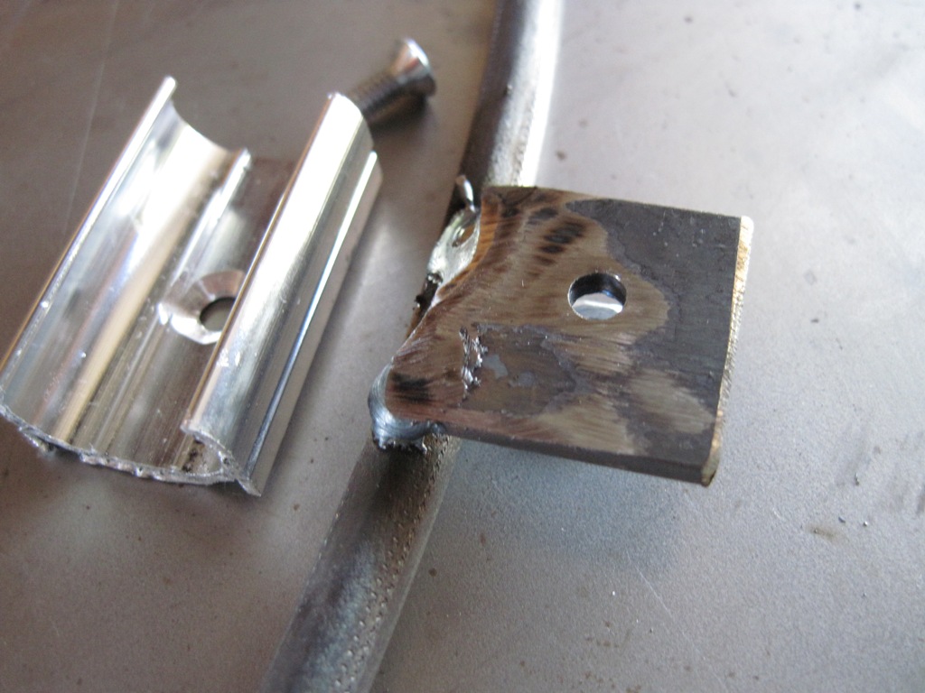 Zann Jones: Neon Cat