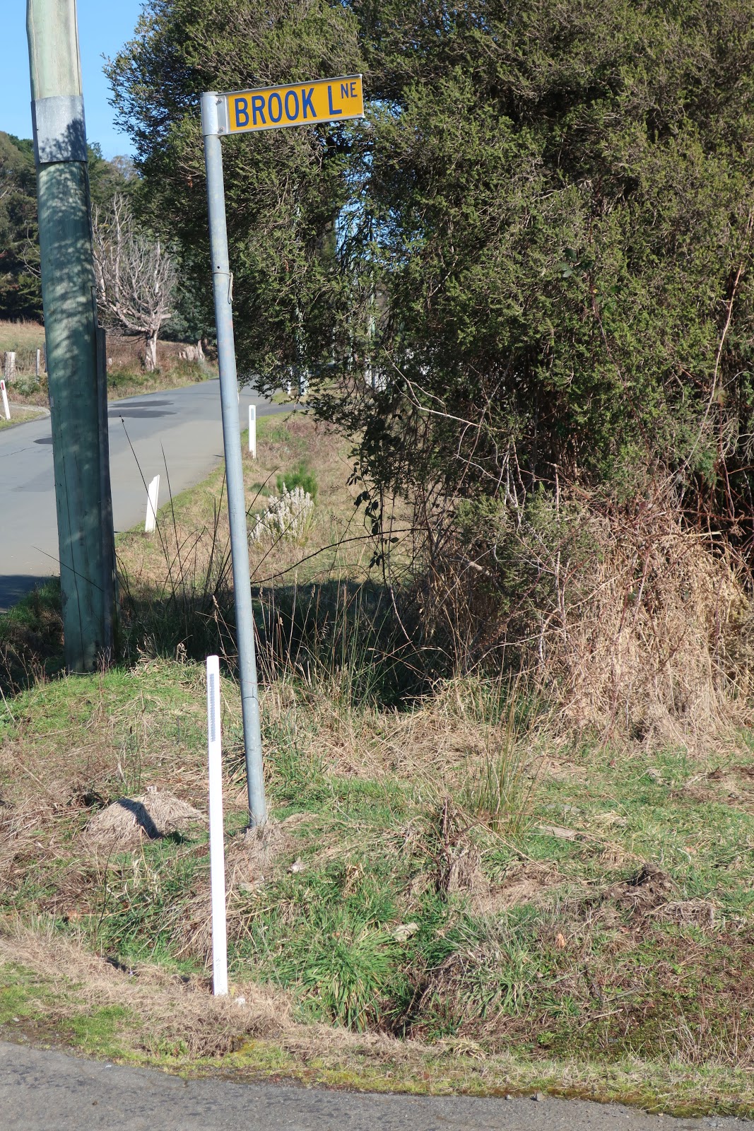 Ramblers : Margate Tramway and Rivulet Tracks