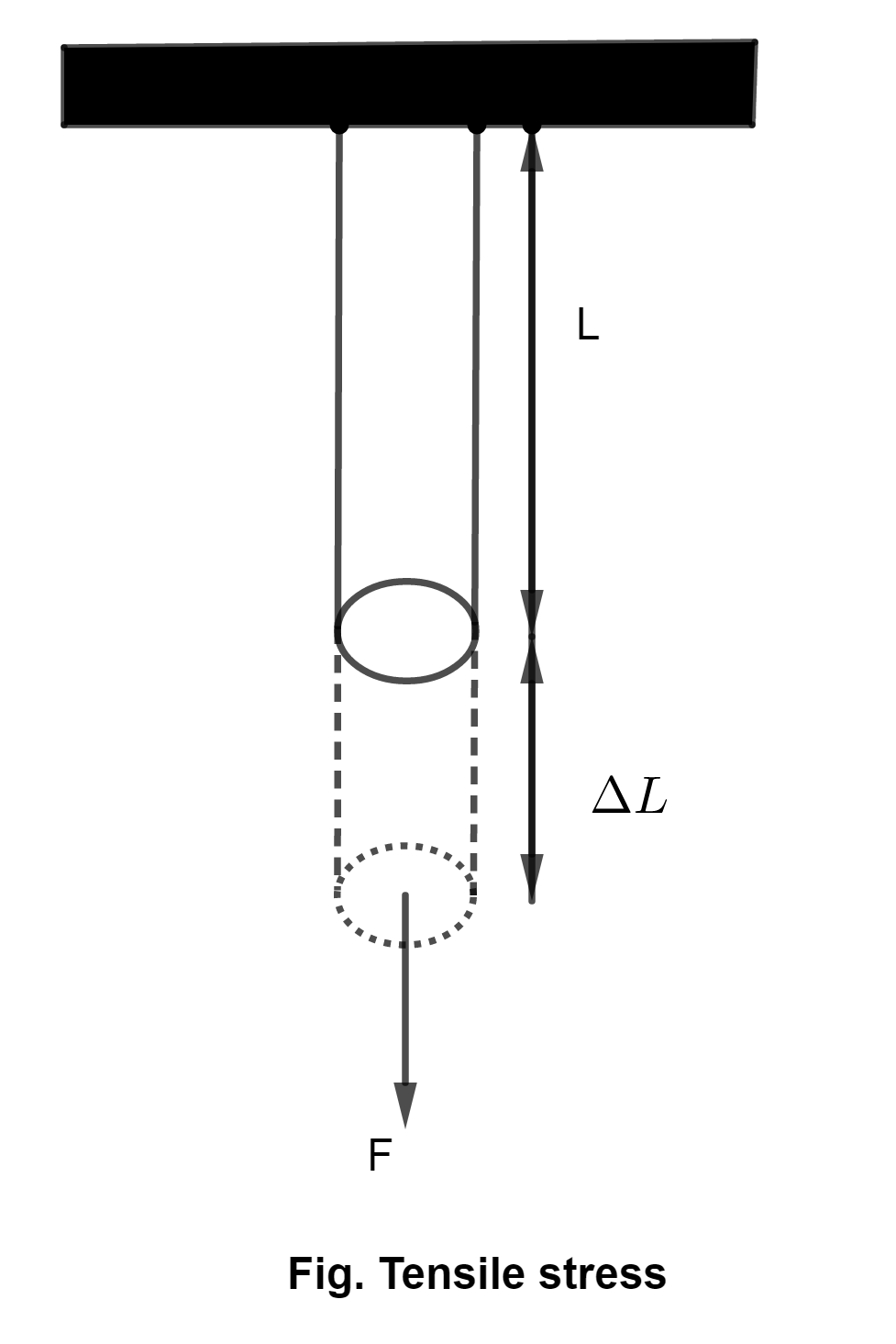 Elasticity | Complete notes | Important questions | Short questions and ...