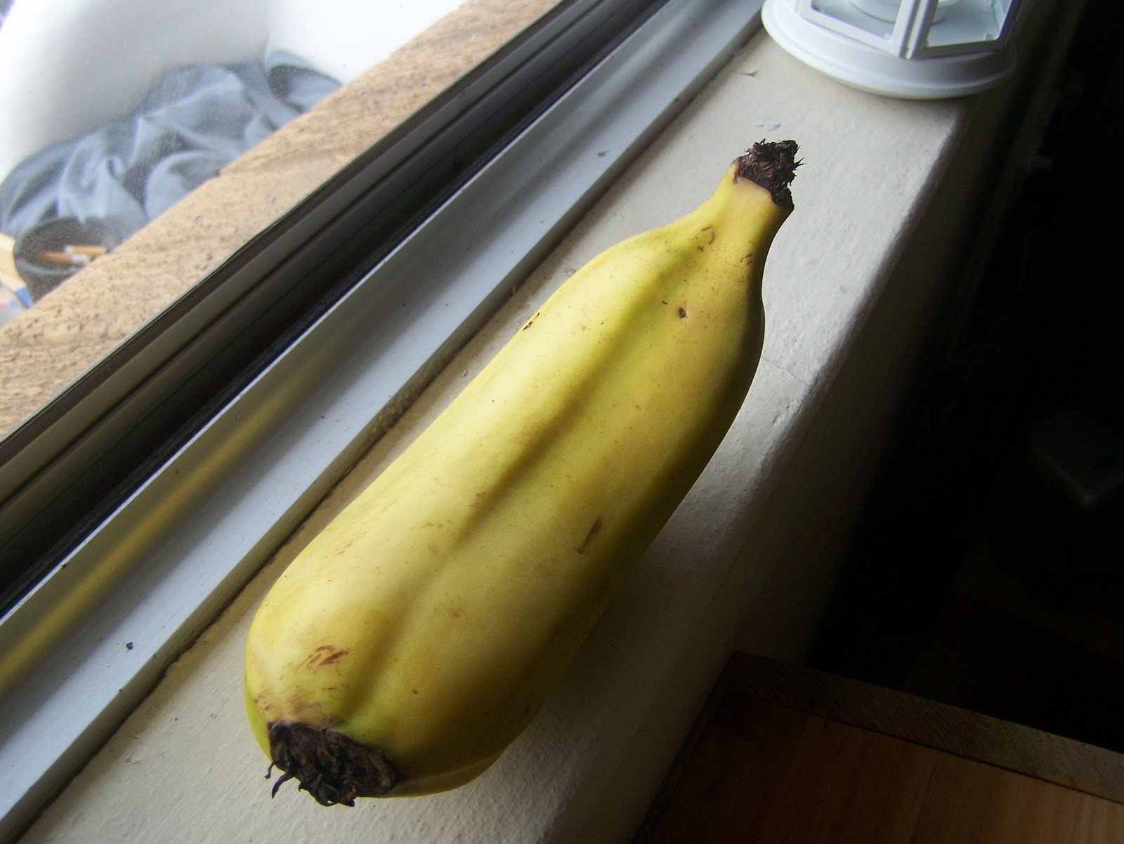 Little Australia: A Double-Banana