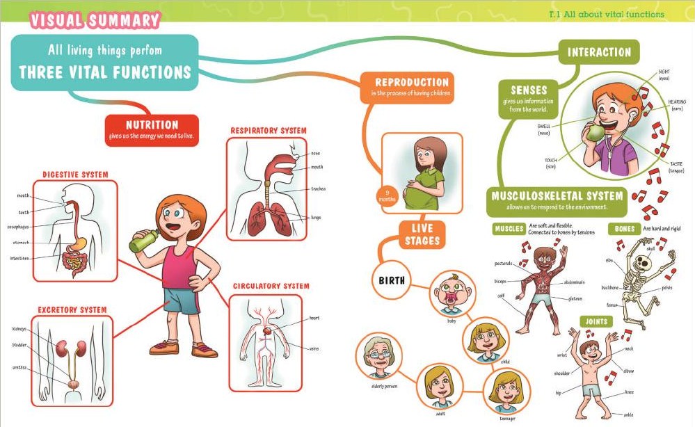 El cuaderno del maestro: 2019