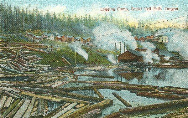 Sweet Americana Sweethearts: Life in a Logging Camp