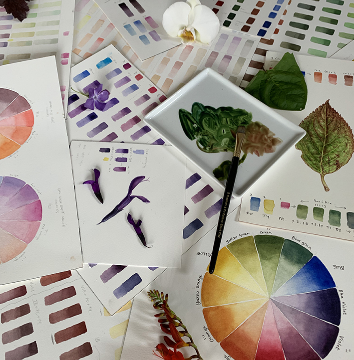 Dianne Sutherland: Equipment and Materials for the Botanical Artist