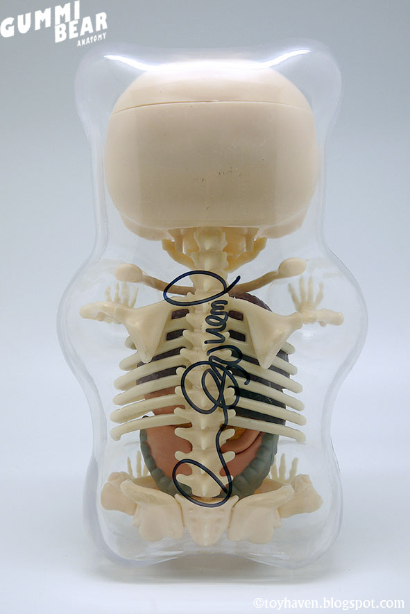 toyhaven: Review Artist Jason Freeny and 4D Master 41-piece 3D Gummi ...