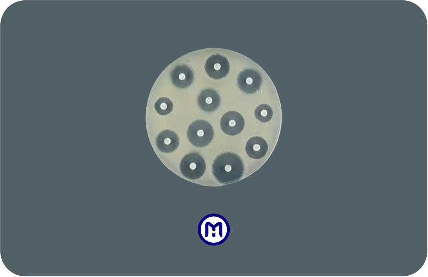 Macam-Macam Uji Kepekaan Antibiotik - MicrobeHolic