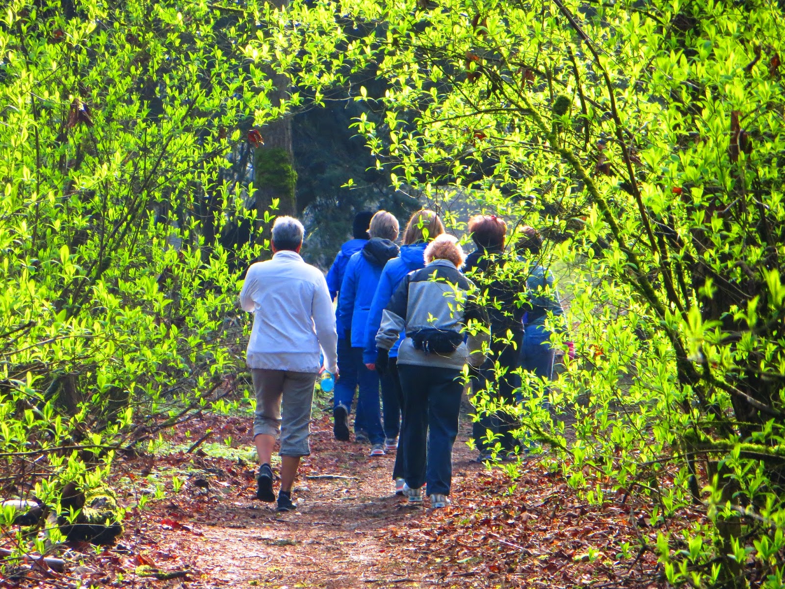 Journalist By Nature: Rocky Butte: Famously Overlooked Portland Landmark