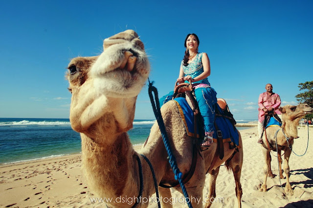 D'sight Photography Blog: Camel Riding